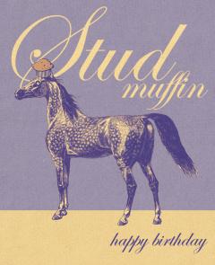 Felicitare - Stud muffin happy birthday - The Art File