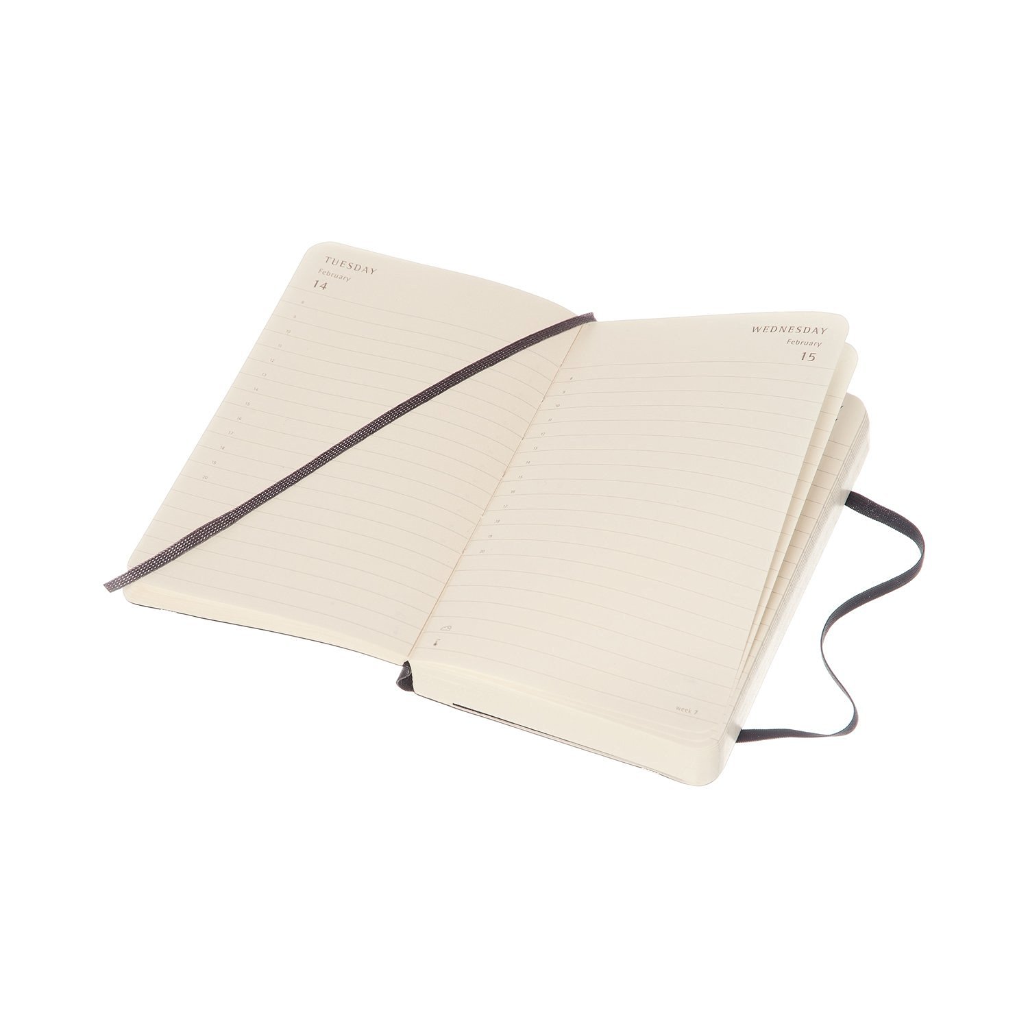 Agenda 2017 - Pocket Daily Diary 12 Month Soft - Moleskine