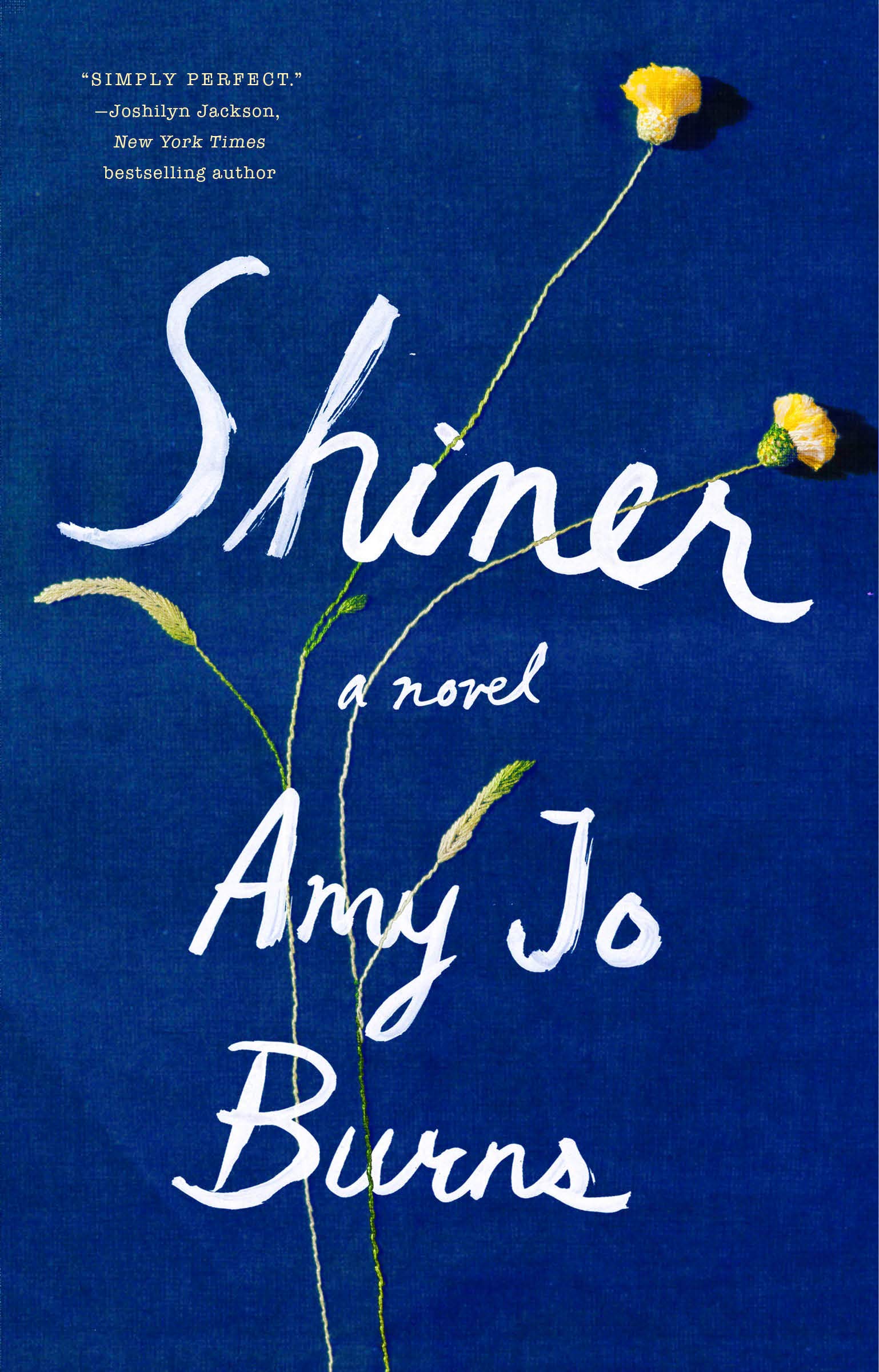 Shiner Amy Jo Burns Shiner Amy Jo Burns