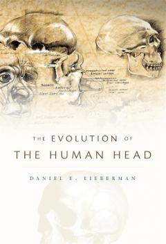Evolution of the Human Head - Daniel E. Lieberman