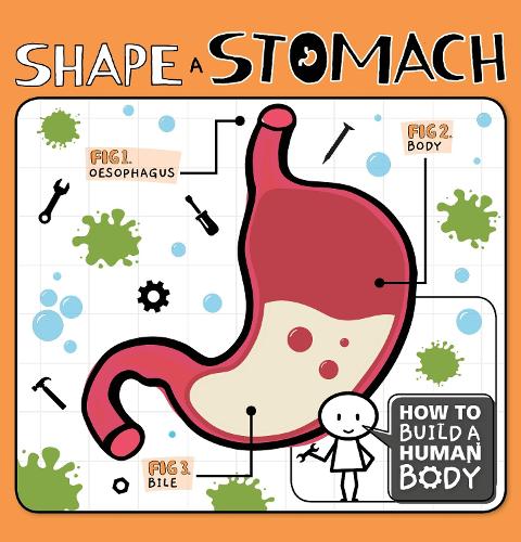 Shape a Stomach - Kirsty Holmes