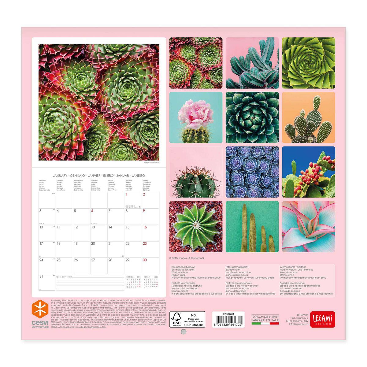 Calendar 2022 - Succulents, 30x29 cm - Legami