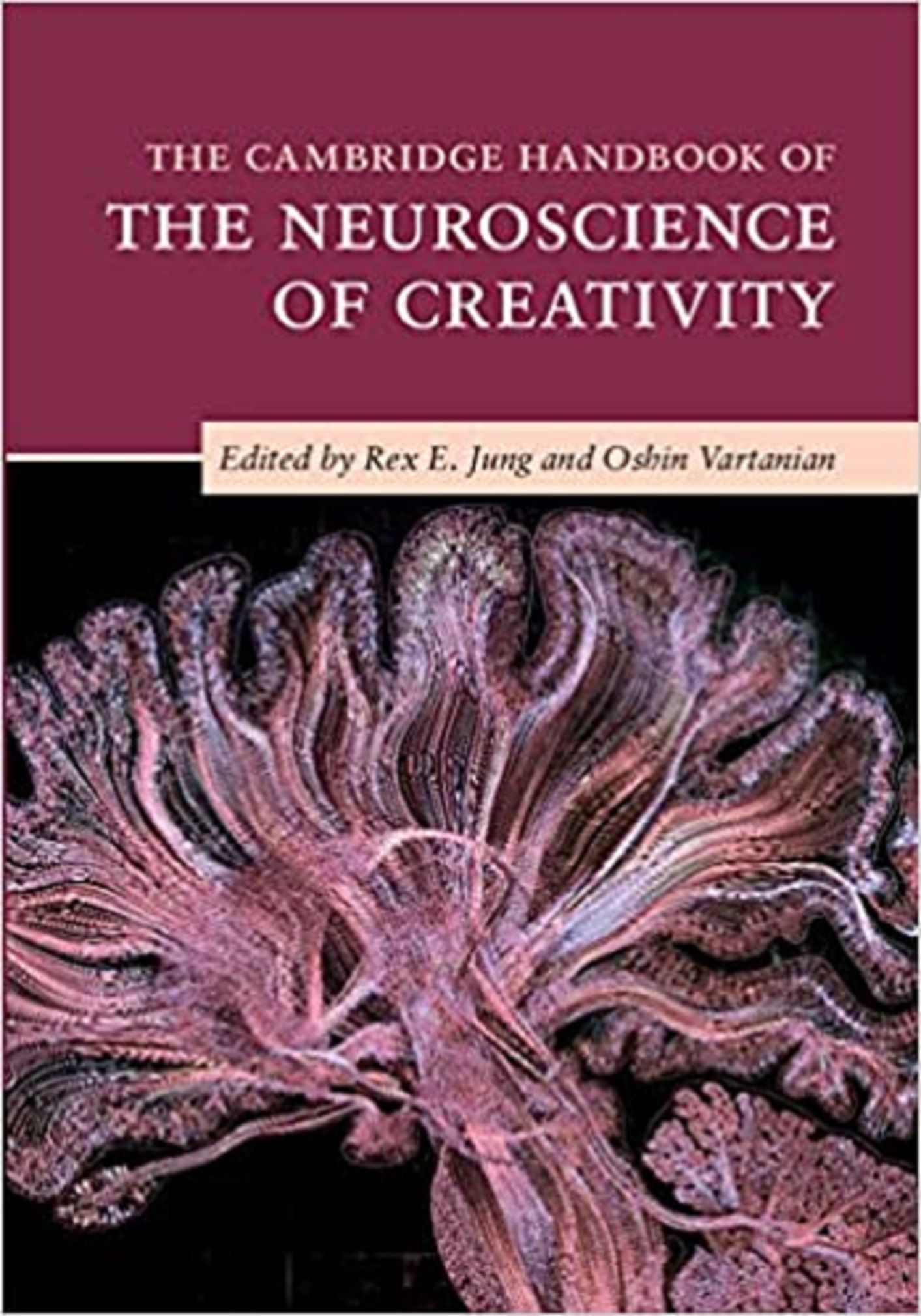 The Cambridge Handbook of the Neuroscience of Creativity - Rex E. Jung ...