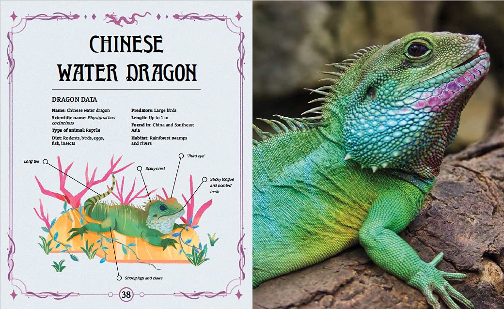 Real-life Dragons and their Stories of Survival - Anita Ganeri