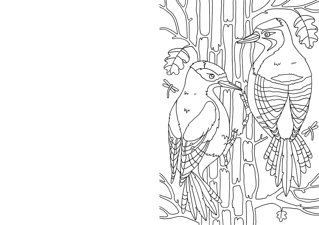 Amazing Colouring for Kids - Buster Books