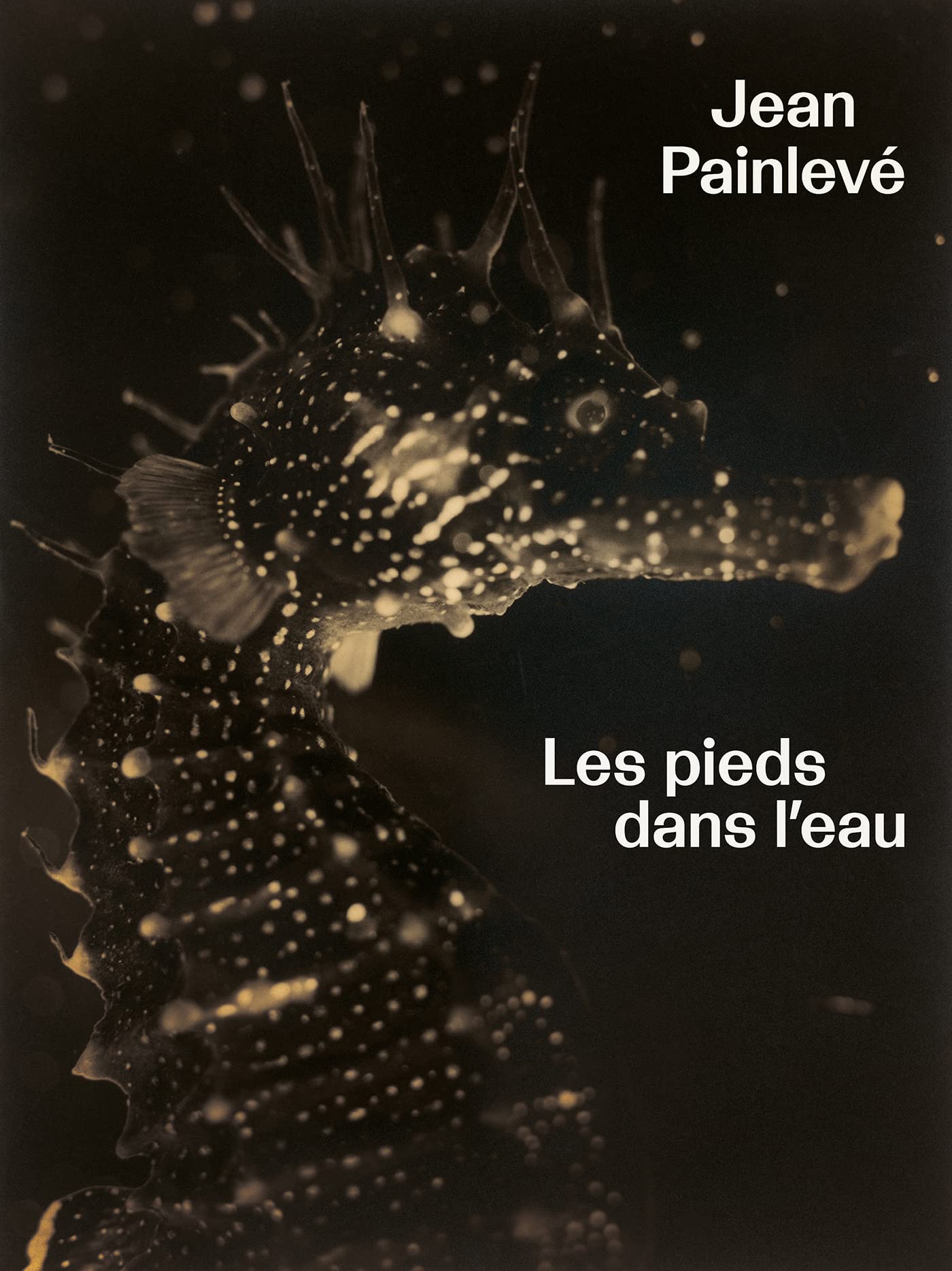 Les pieds dans l'eau - Jean Painleve Les pieds dans l'eau - Jean Painleve
