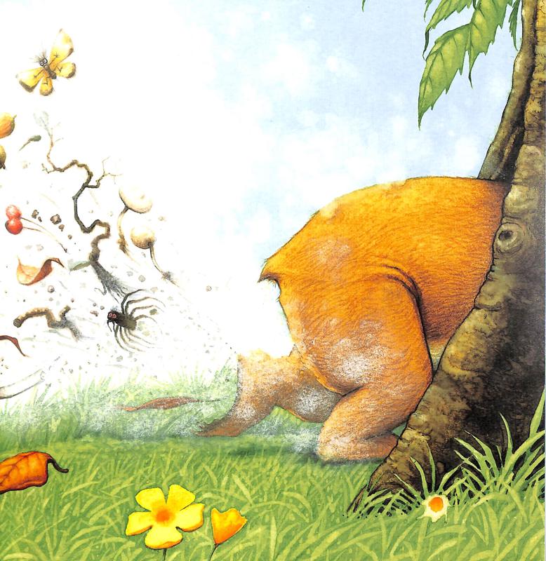 Where To, Little Wombat? - Charles Fuge