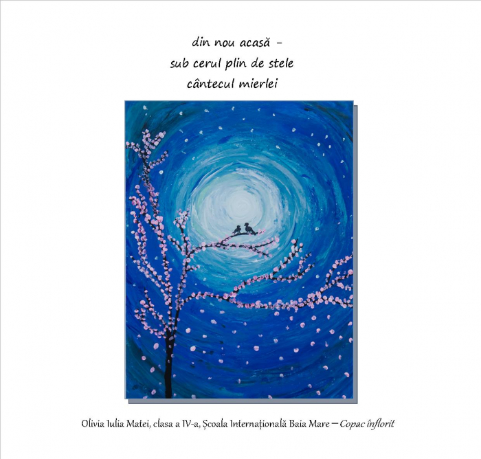 Patru anotimpuri - Adriana Pop, Doina-Maria Tudor