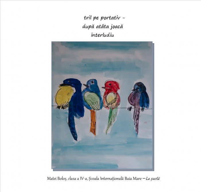 Patru anotimpuri - Adriana Pop, Doina-Maria Tudor