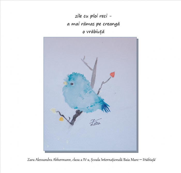 Patru anotimpuri - Adriana Pop, Doina-Maria Tudor