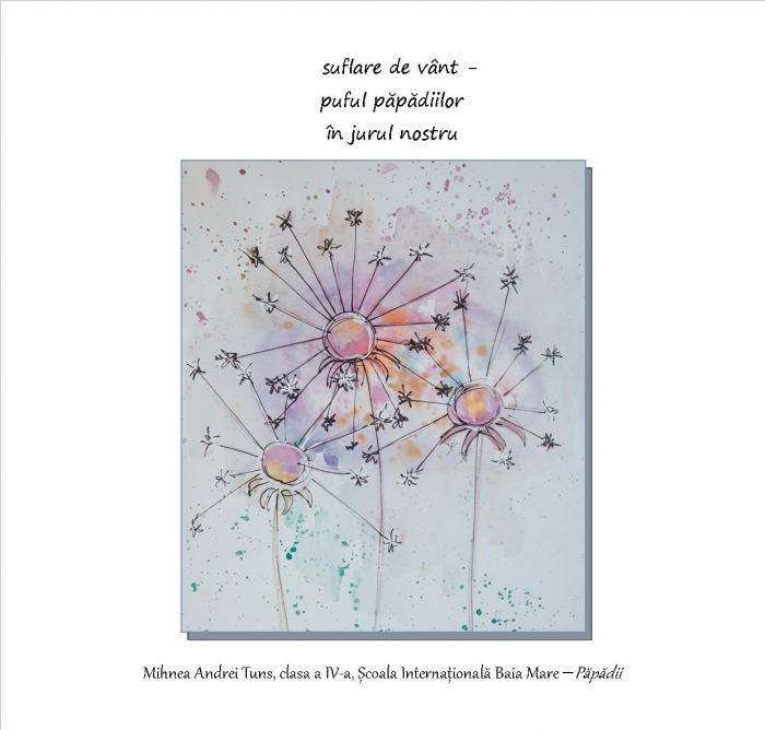 Patru anotimpuri - Adriana Pop, Doina-Maria Tudor