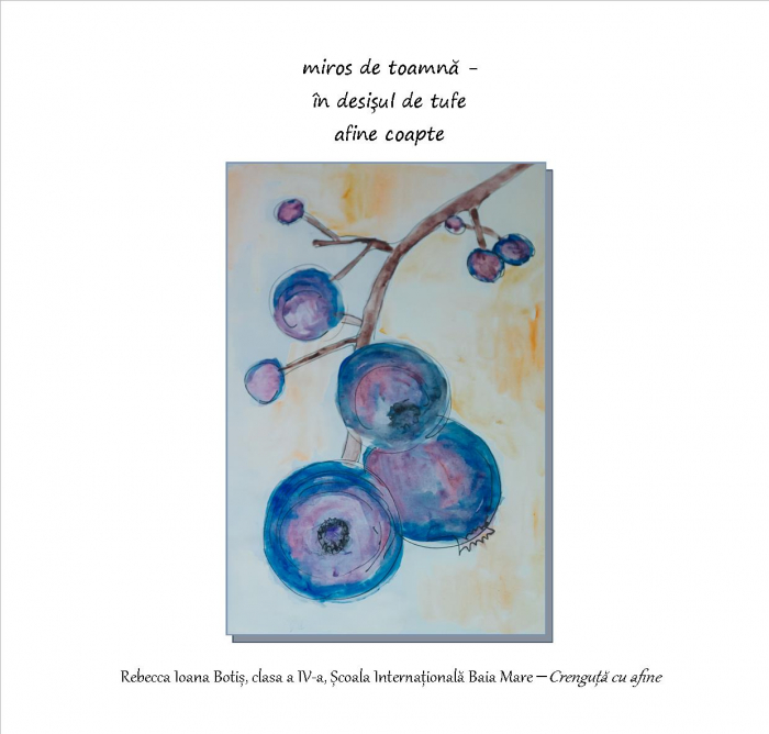 Patru anotimpuri - Adriana Pop, Doina-Maria Tudor