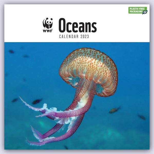 Calendar de perete 2023 - Square - WWF - Oceans - Carousel