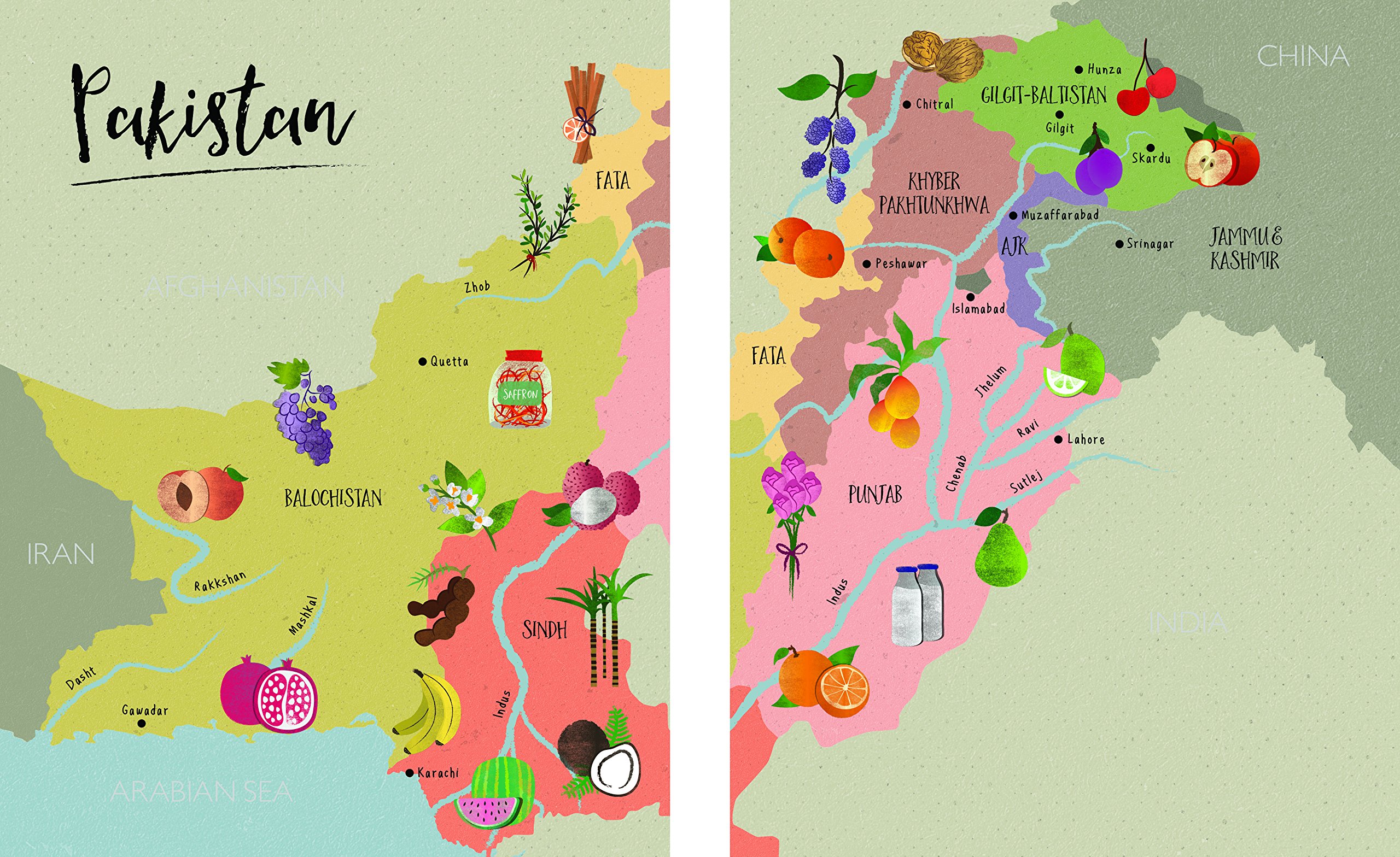 Mountain Berries and Desert Spice - Sumayya Usmani