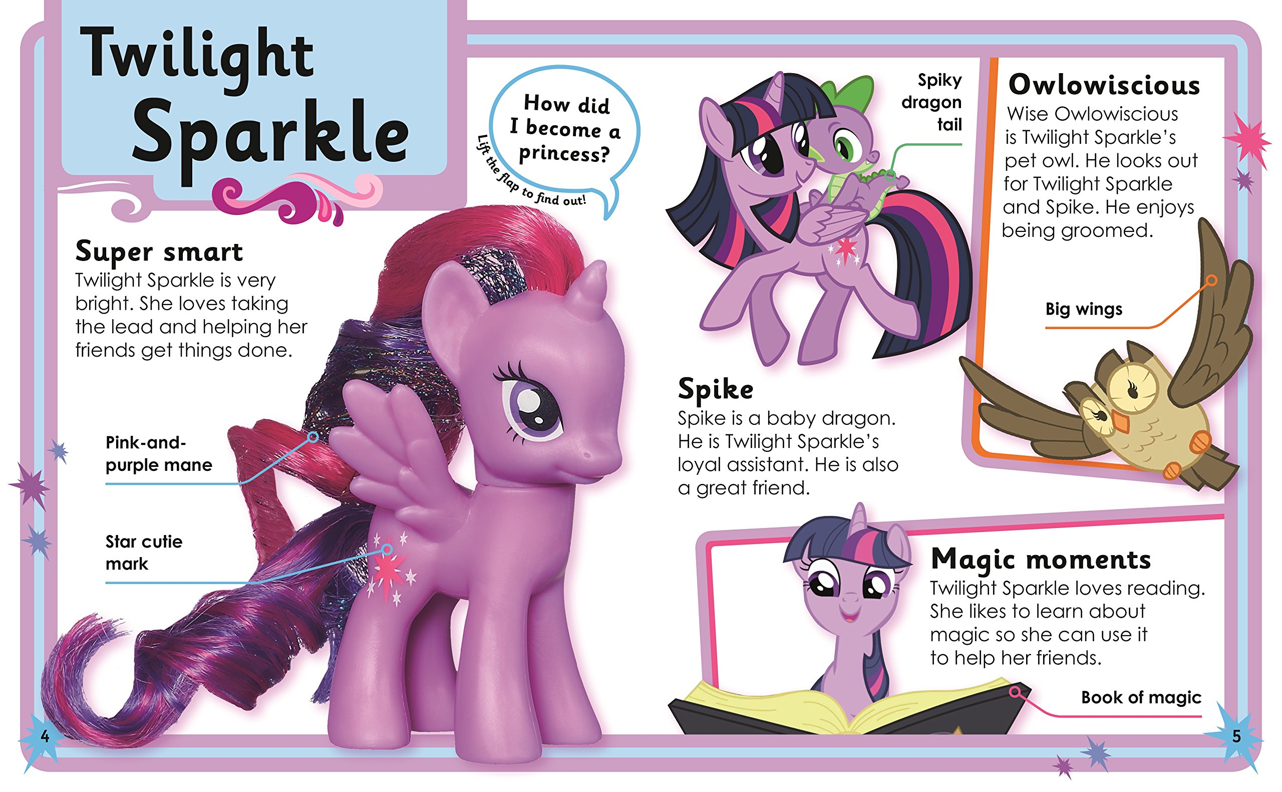The Amazing Book of My Little Pony - Dk