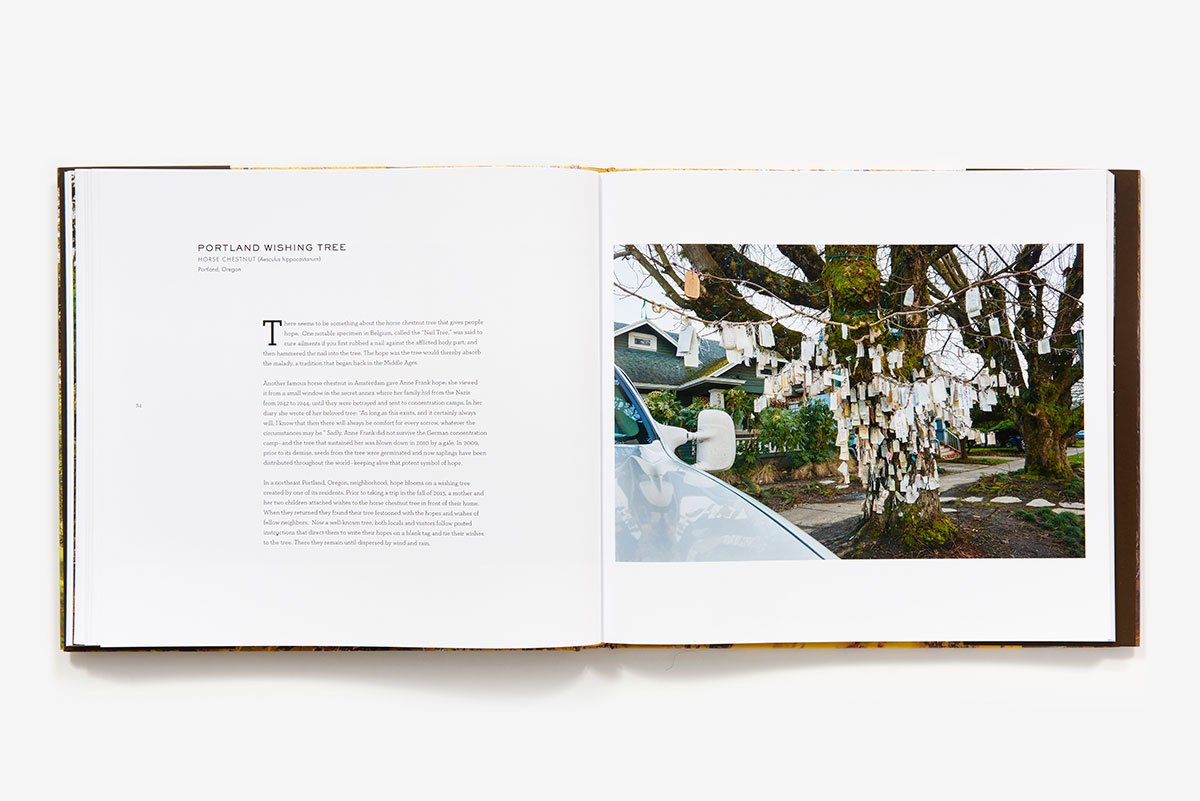 Wise Trees - Diane Cook, Len Jenshel