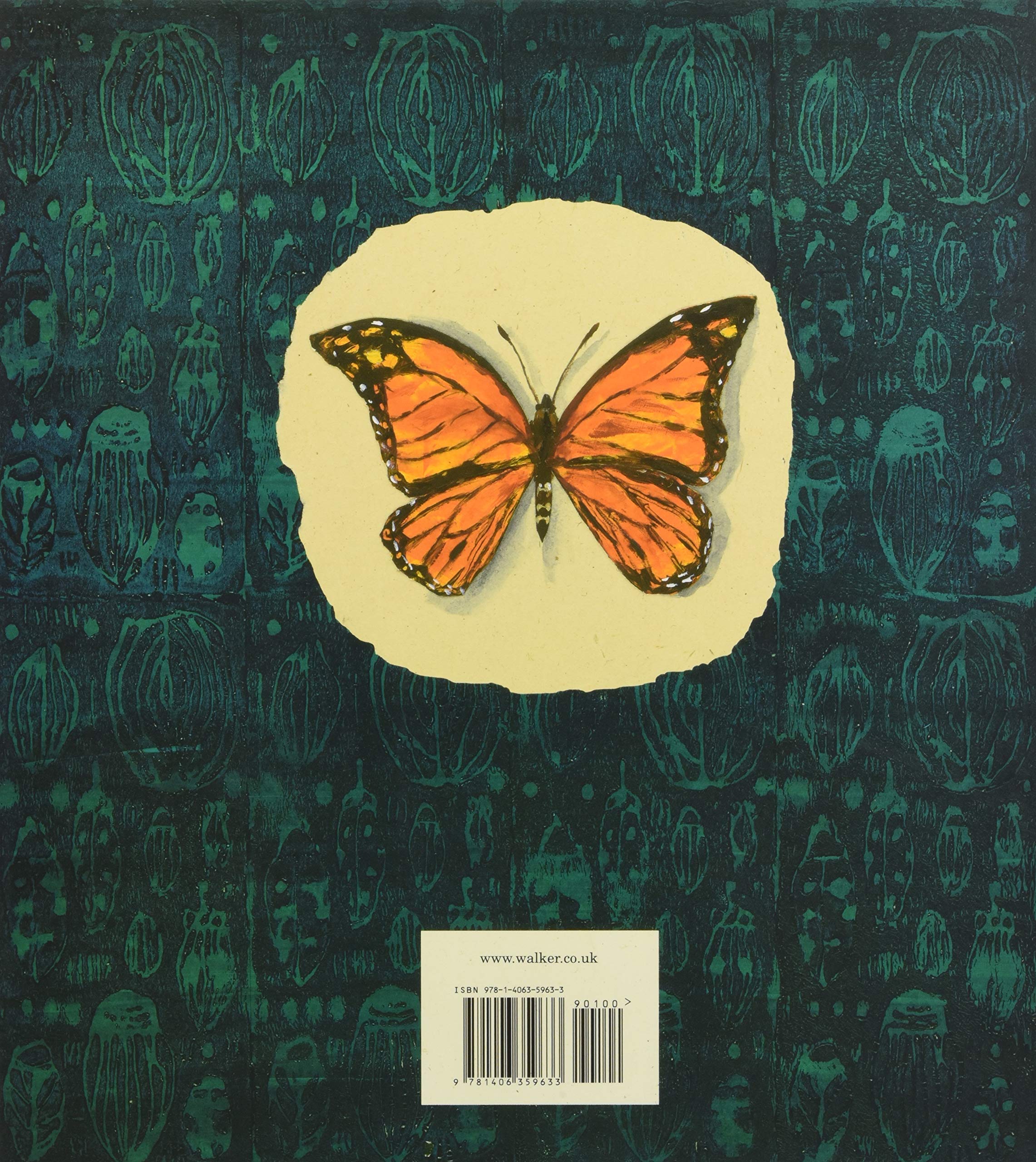 A First Book of Animals - Nicola Davies