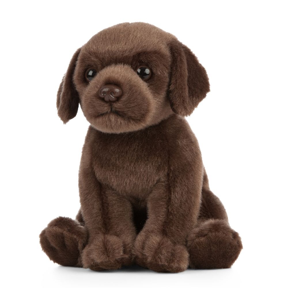 Jucarie de plus - Caine Labrador - Keycraft