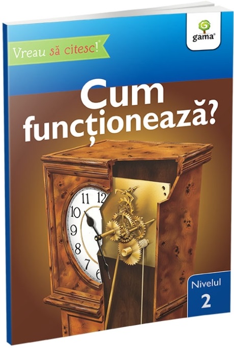 Cum functioneaza? - DENISE RYAN