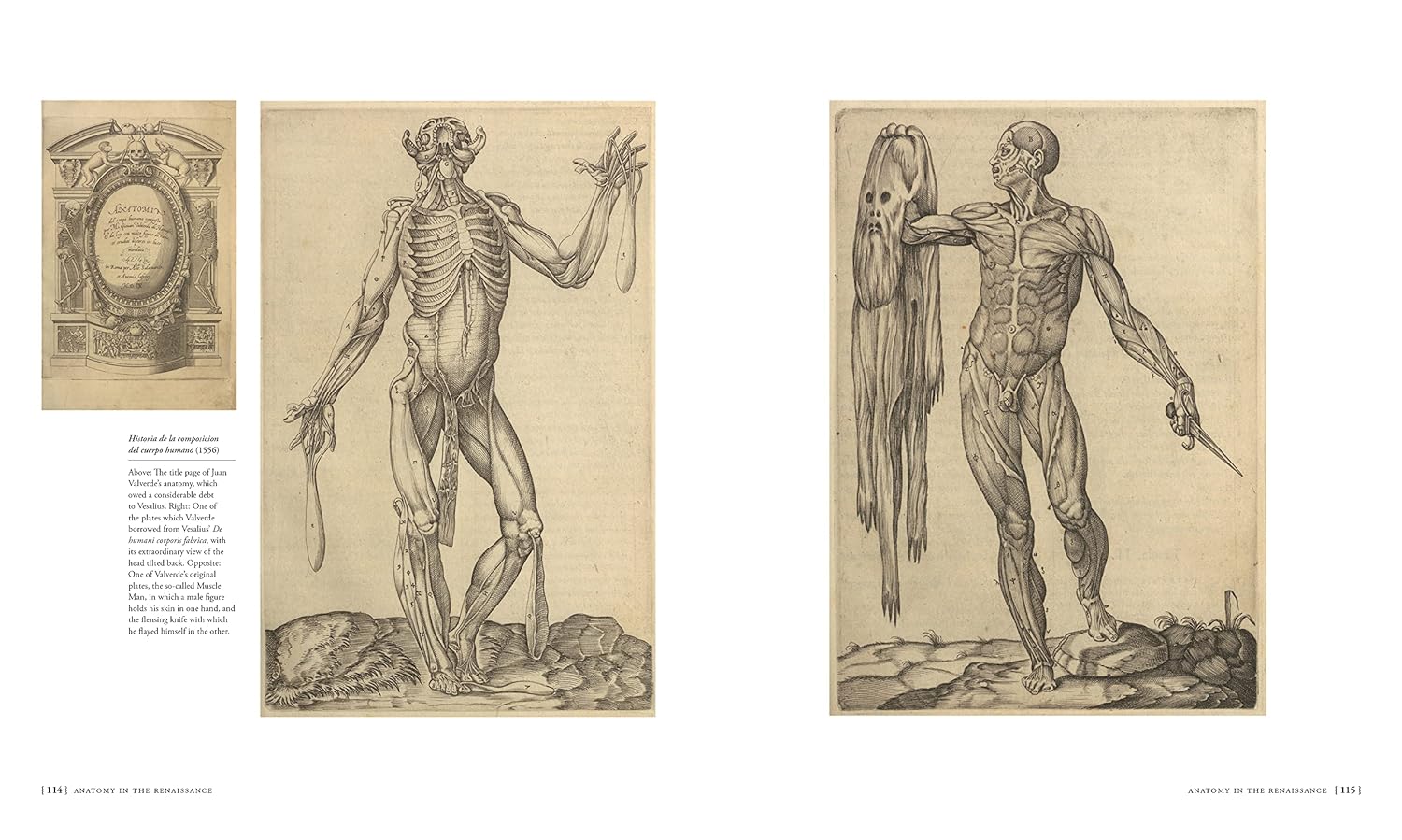 The Anatomists' Library - Colin Salter