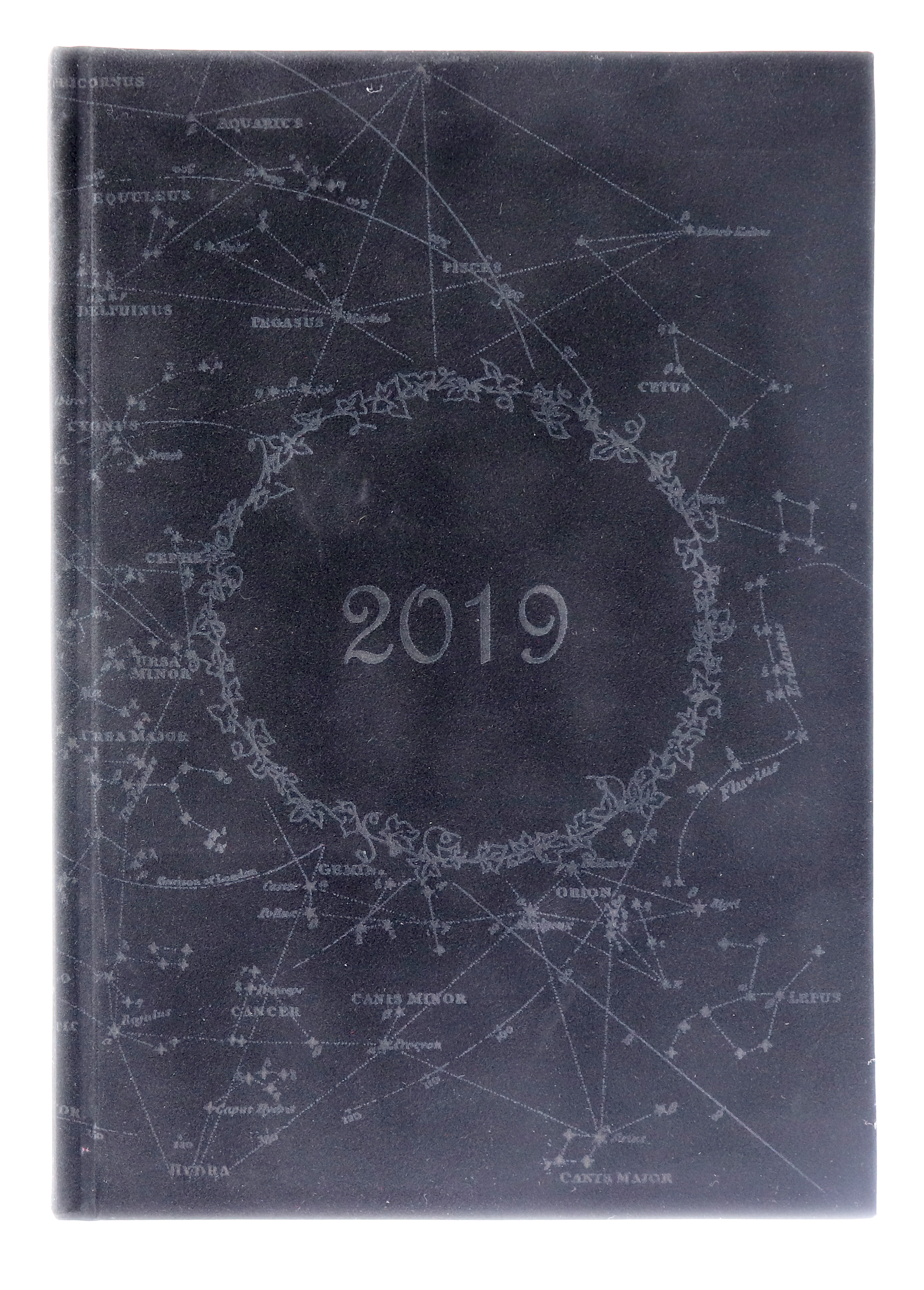 Agenda Magica 2019 (coperta neagra) - La sanziene... cu leac