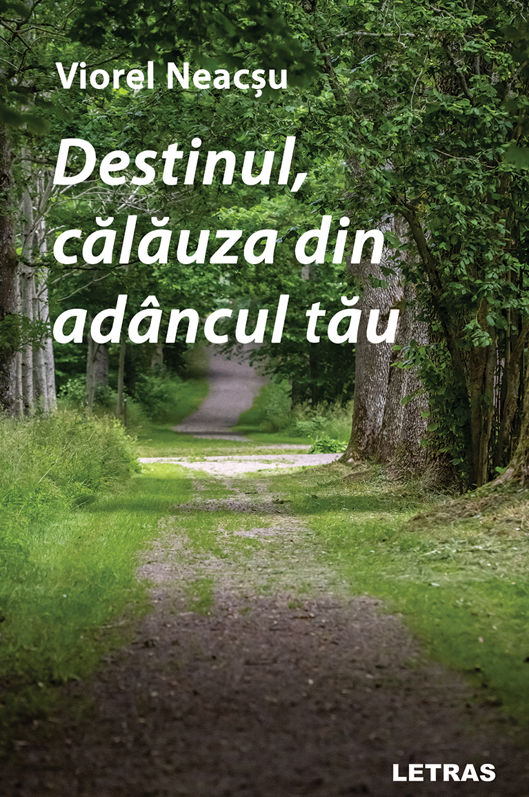 Destinul, calauza din adancul tau - Viorel Neacsu