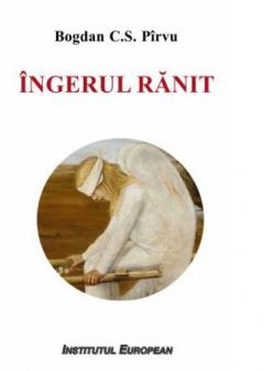 Ingerul ranit - Bogdan C.S. Pirvu