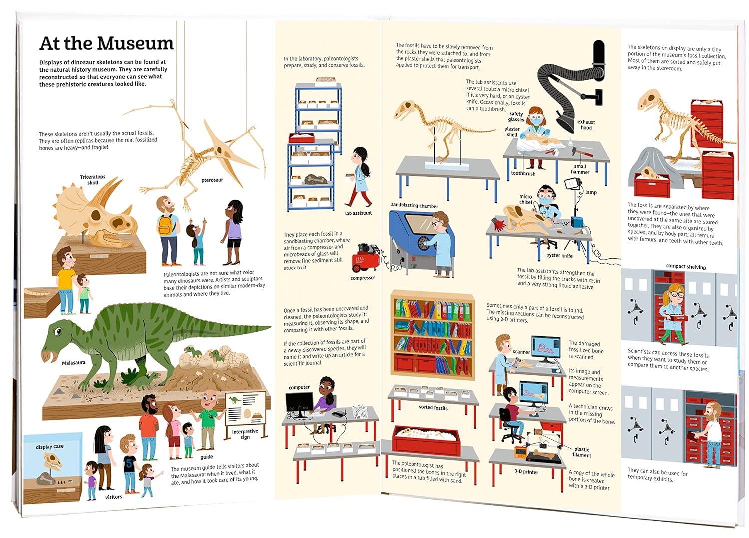 The Ultimate Book of Dinosaurs and Other Prehistoric Creatures - Sandra ...