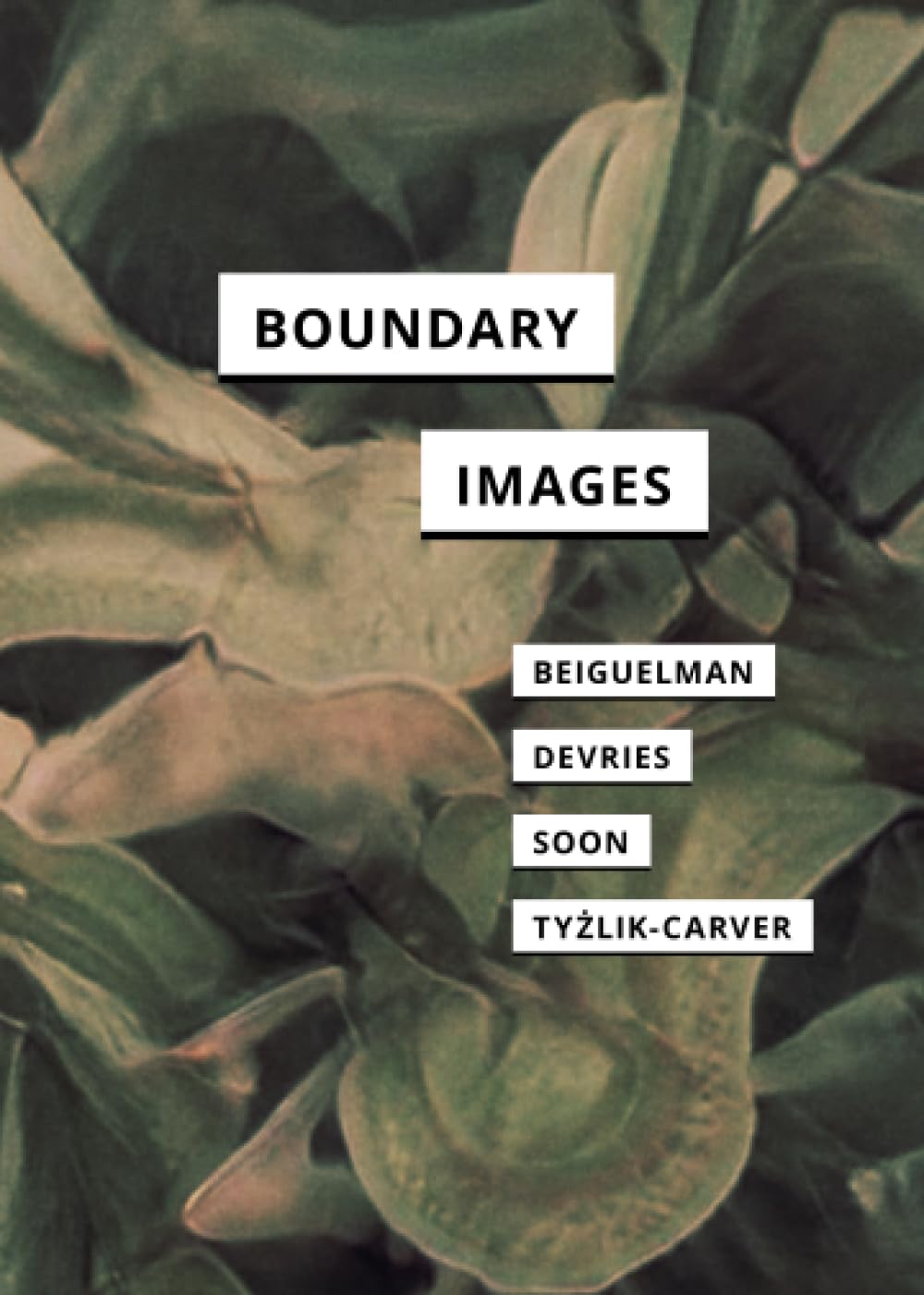 Boundary Images - Giselle Beiguelman, Melody Devries, Winnie Soon ...