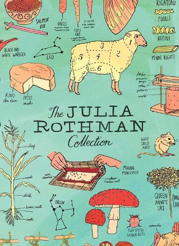 Julia Rothman Collection
