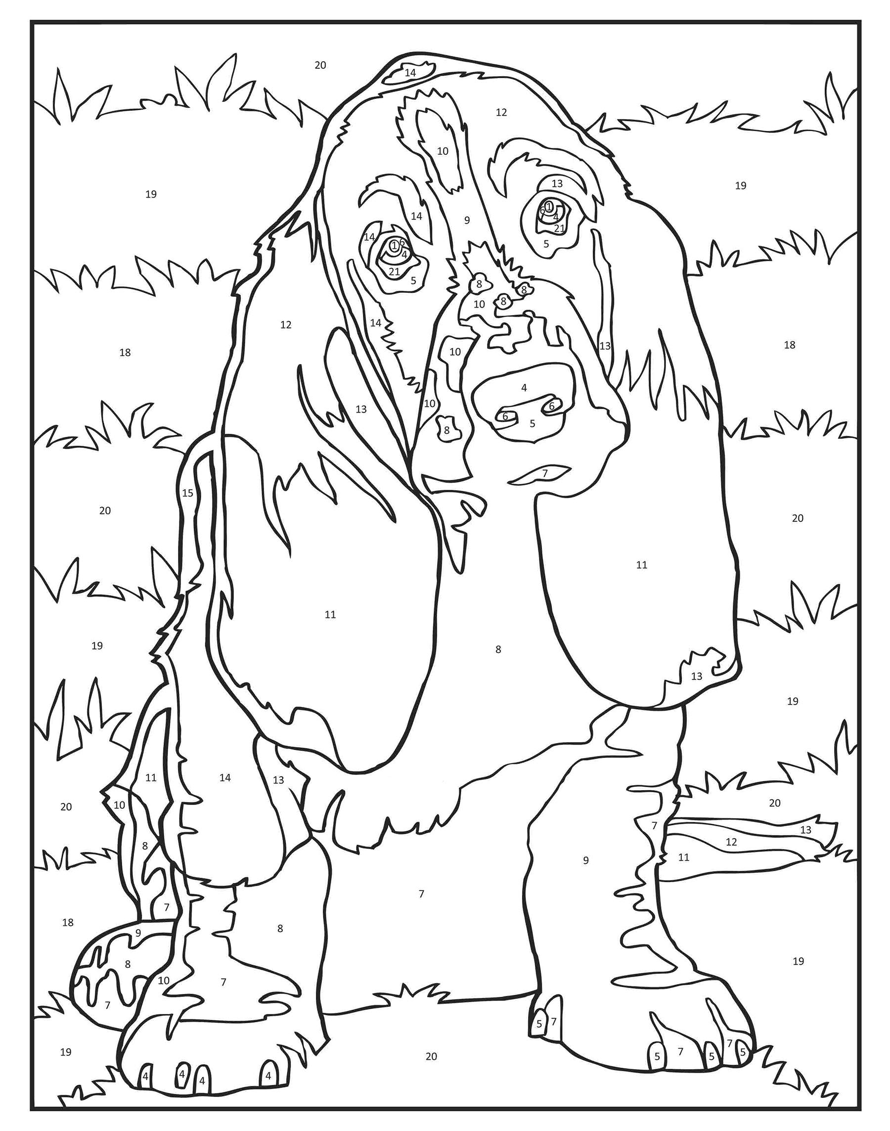 Dogs Color By Number Coloring Book Dogs Color By Number Coloring Book