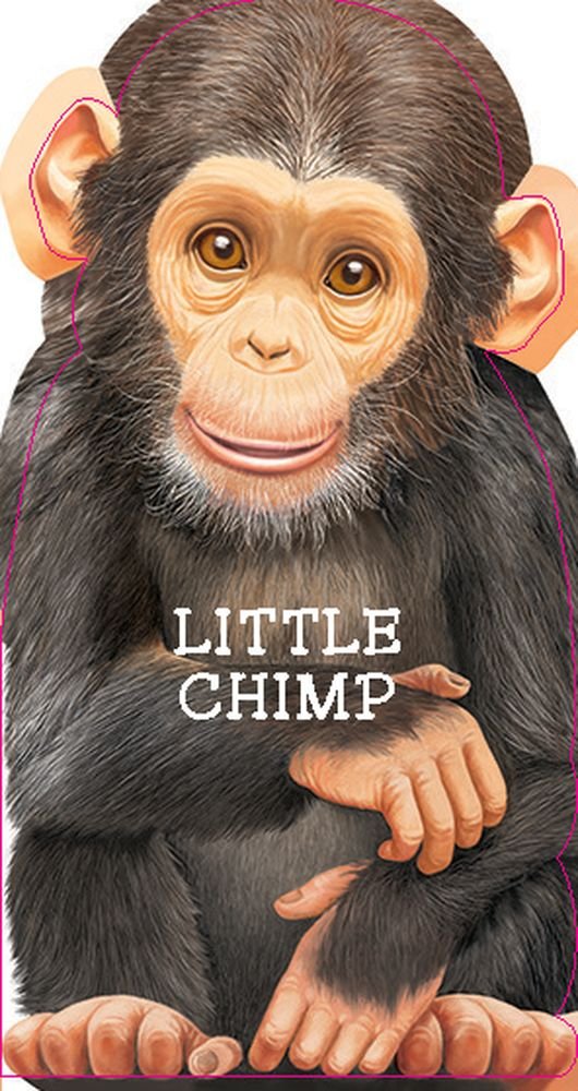 Little Chimp - Laura Rigo
