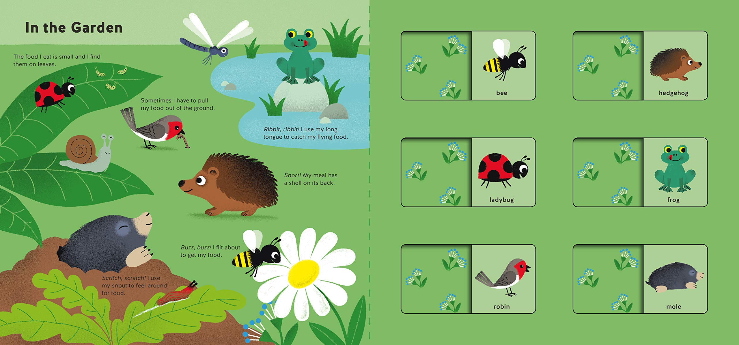 Who Eats What? - Stephanie Babin