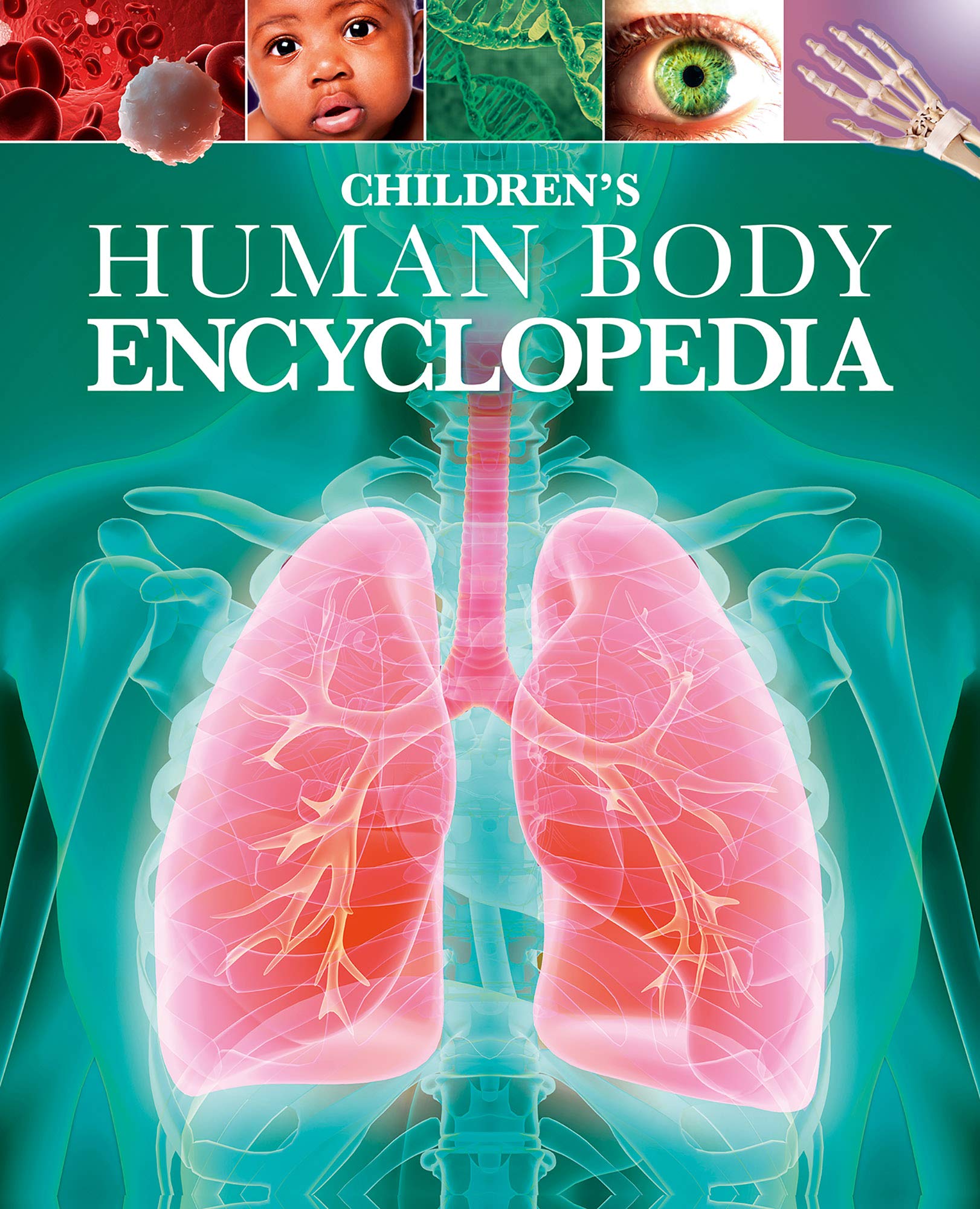 Children s Human Body Encyclopedia Clare Hibbert Children s Human Body Encyclopedia Clare Hibbert