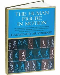 The Human Figure in Motion - Eadweard Muybridge