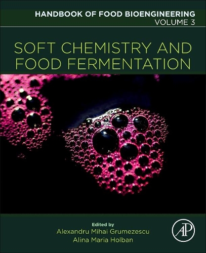 Soft Chemistry and Food Fermentation