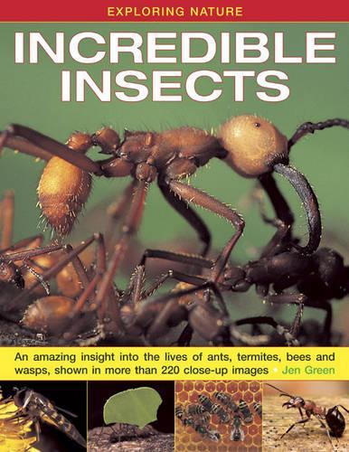 Exploring Nature: Incredible Insects - Dr Jen Green