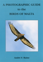 A Photographic Guide to the Birds of Malta - Andre Raine