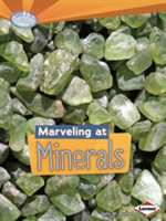 Marveling at Minerals - Sally M Walker