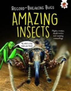 Amazing Insects - Record-Breaking Bugs - Matt Turner