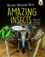 Amazing Insects - Record-Breaking Bugs - Matt Turner