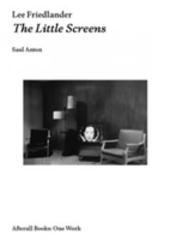 Lee Friedlander - Pratt Institute ) Saul (Adjunct Assisstant Professor ...