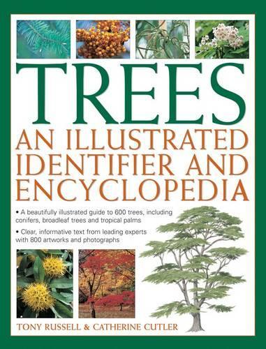 Trees: An Illustrated Identifier and Encyclopedia - Tony Russell ...