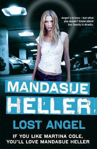 Lost Angel - Mandasue Heller