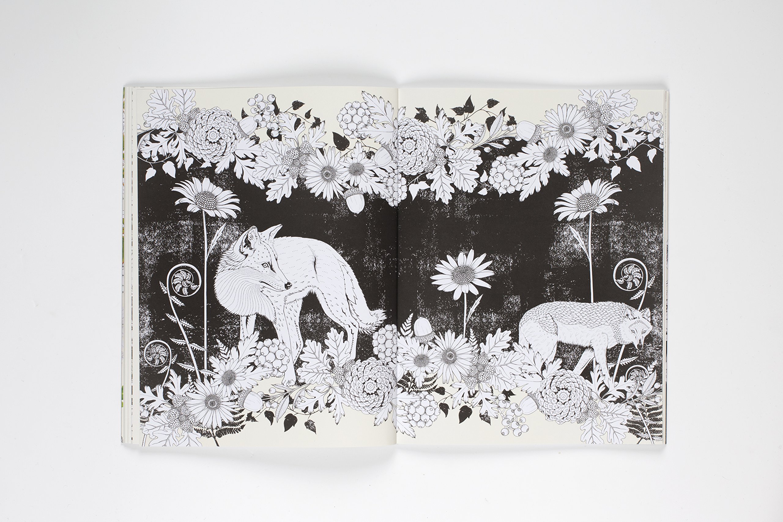 Into the Wild - Daisy Fletcher