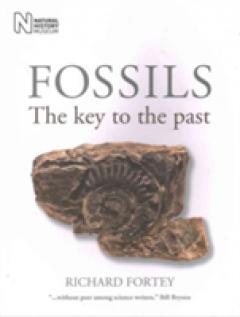 Fossils - Richard A. Fortey