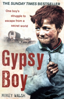 Gypsy Boy - Mikey Walsh