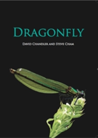 Dragonfly - David Chandler