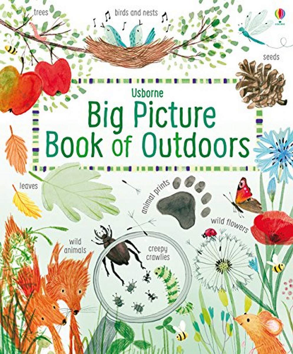 Big Picture Book of Outdoors - Minna Lacey