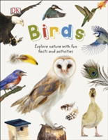 Birds - Dk